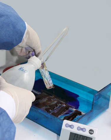 Medios de Cultivo y Coloración de Gram | Universidad Metropolitana ...