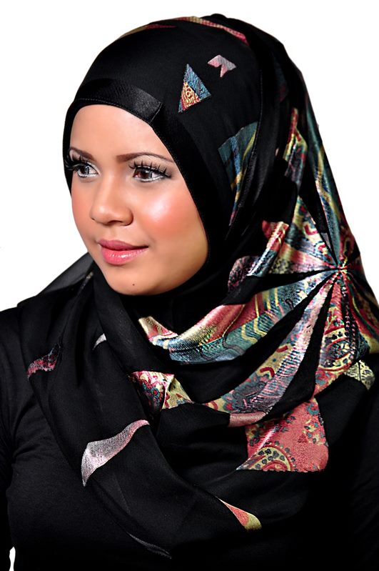 Wonderful New Hijab Styles March 2013 | Hijab Styles, Hijab Pictures ...