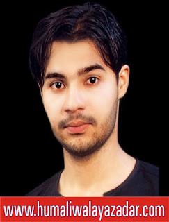 Mehrban Ali Nohay 2012 to 2020