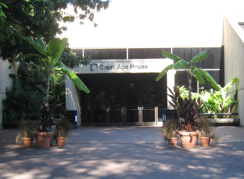 Great Ape House Kansas City Zoo at Ebony Heritage blog