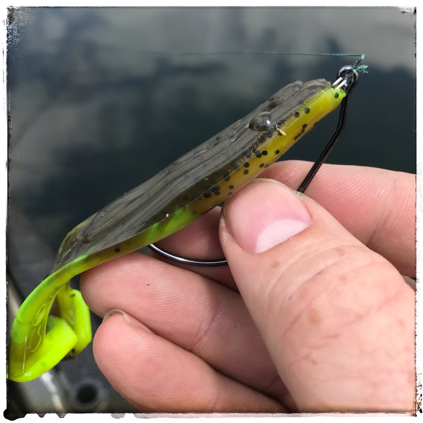 Bass Junkies Frog Pond: Strike King Super Toad Review