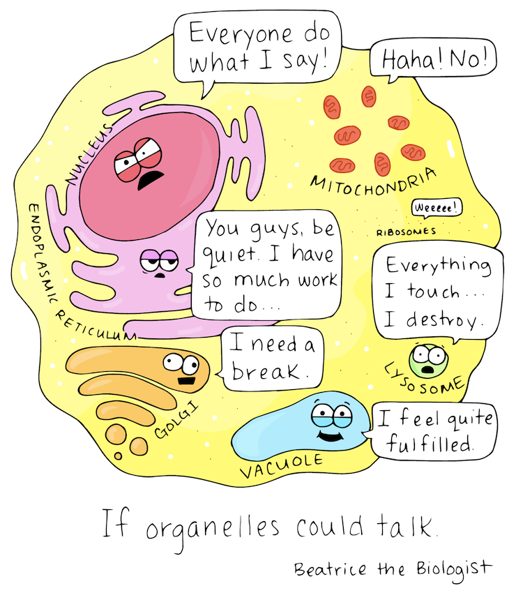 Autoimmune Cartoon