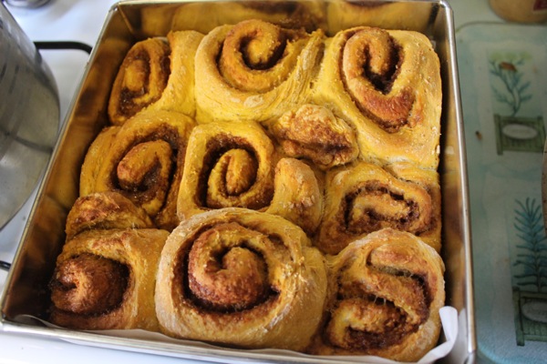 Green Gourmet Giraffe: ﻿Pumpkin Spice Scrolls