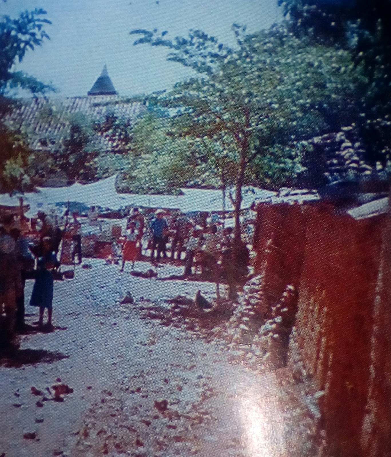 Mi Cultura: Lislique