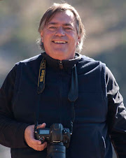 Natur-al-Andalus: The magpie's tale