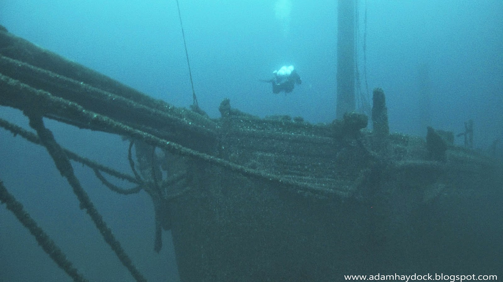 SHIPWRECK OF THE TYPO - ADAM HAYDOCK