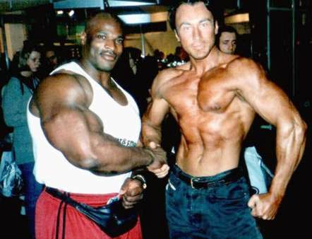 the beauty of male muscle: bodybuilders vs. average people