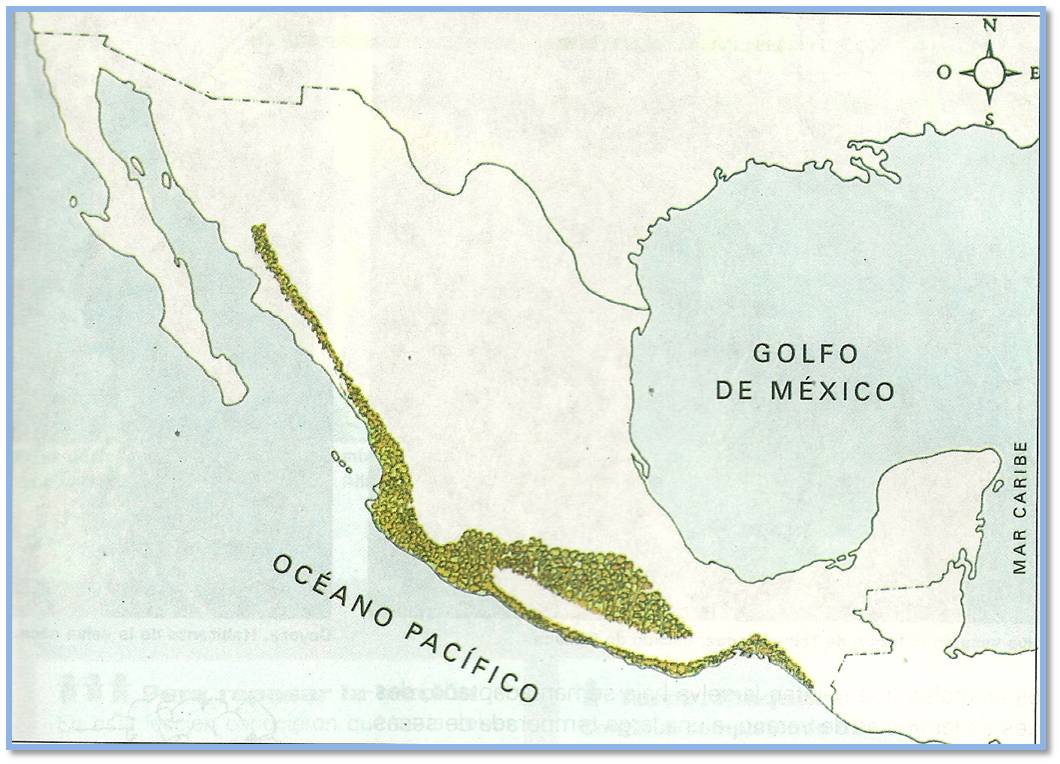Geografía de México: 2.1 La Selva Húmeda y la Selva Seca
