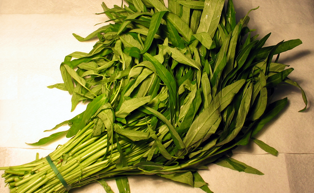 (@)Water spinach recipes(Pad Pak Boong in Thai Food): With Thai Foods ...