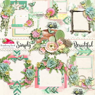 New Collection & Freebie