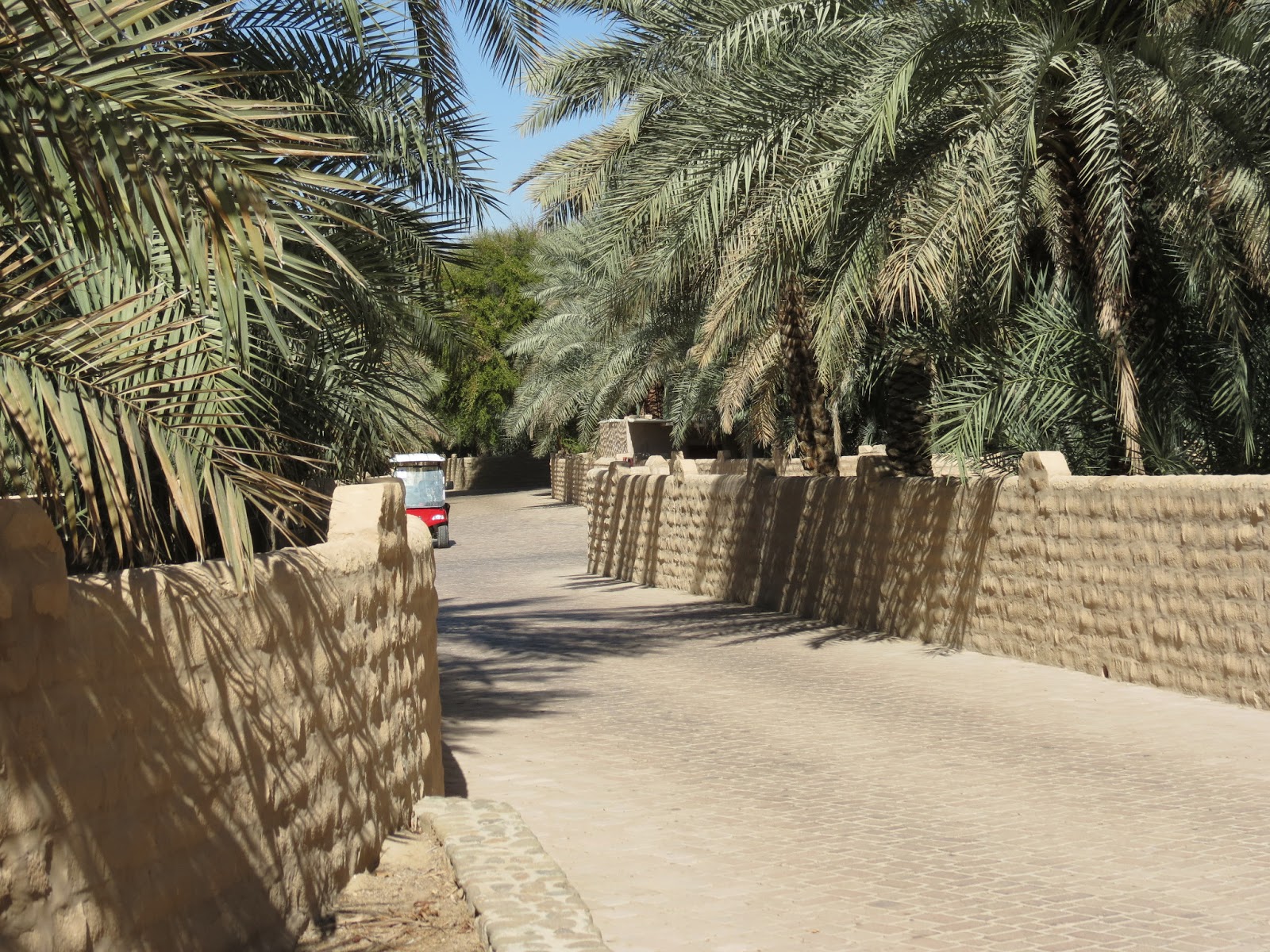Abu Dhabi Adventures: A trip to Al Ain Oasis