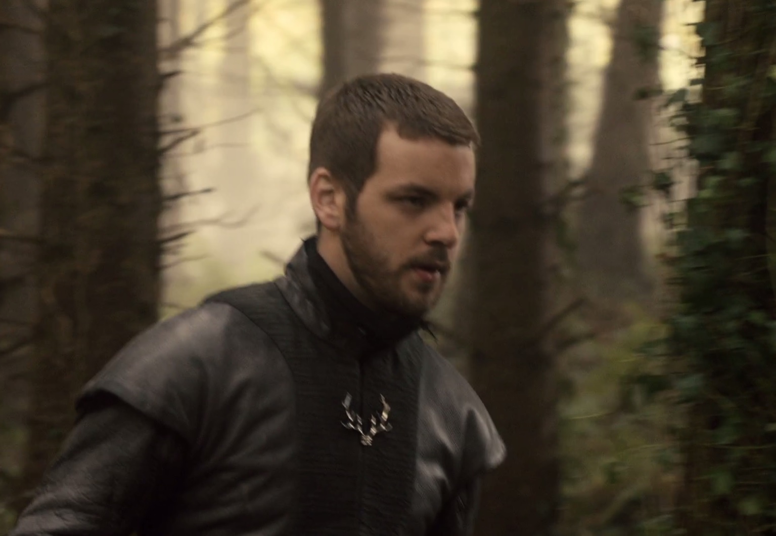 Renly Baratheon Asoiaf