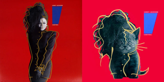 I Have Seen The Whole Of The Internet: More Kitten Album Covers