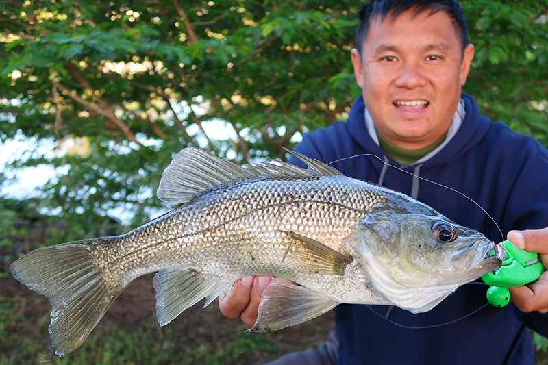 Tackle Source: SHORE BASED AUSTRALIAN BASS