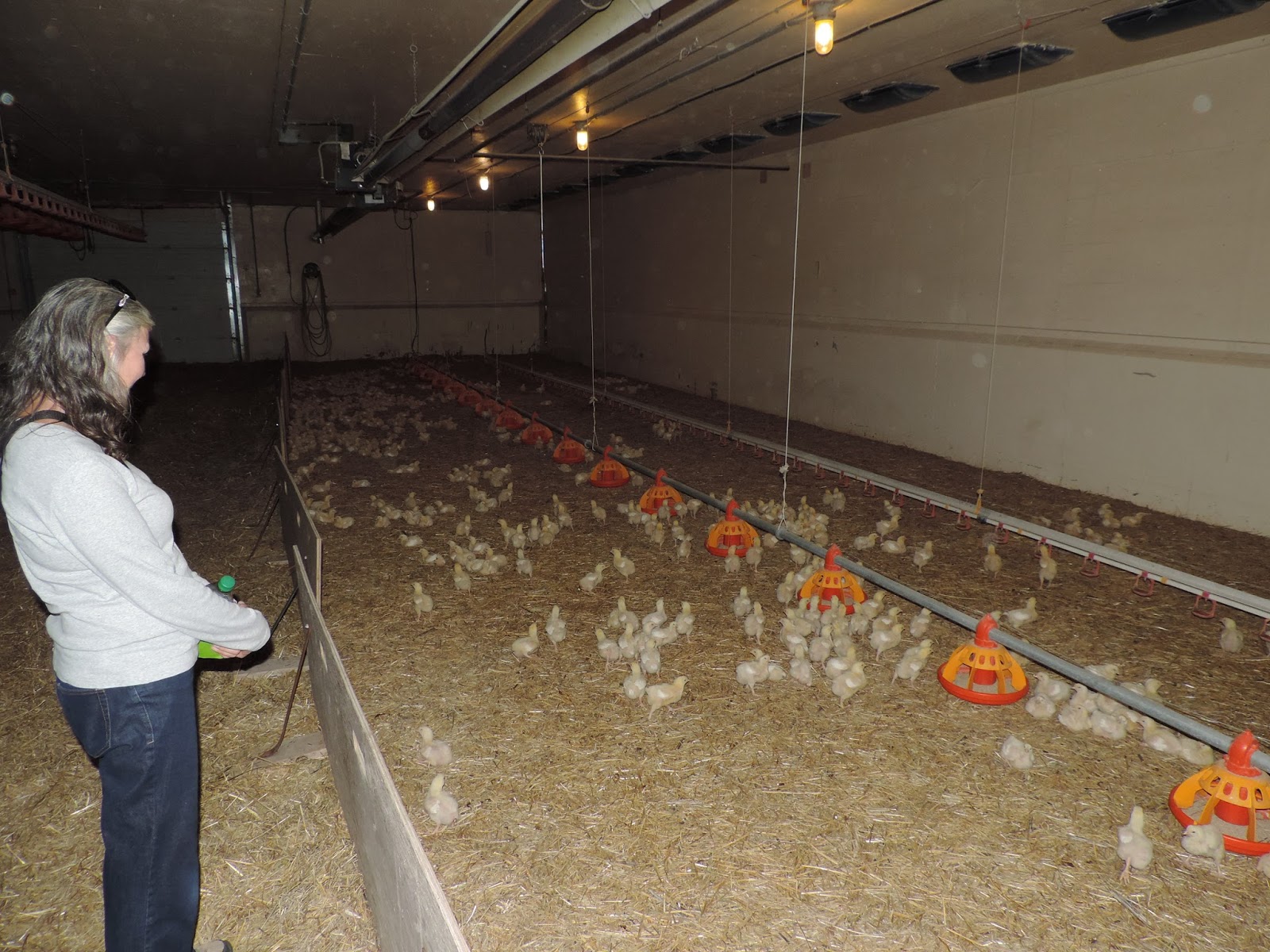 Travel with Kevin and Ruth: A visit with the Hutterites