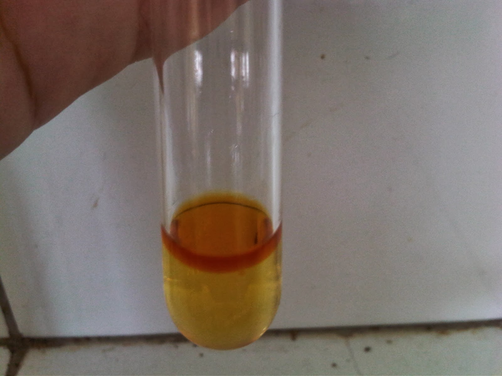 Praktikum Kimia Anorganik: Sifat Senyawa Klor