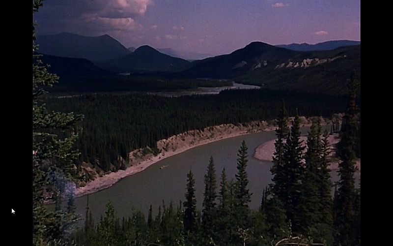 American Grouch: Albert Faille Forgotten Pioneer