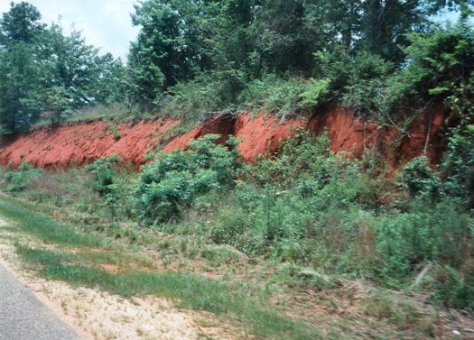 EARTH MEDICINE: Healing Power of Clay