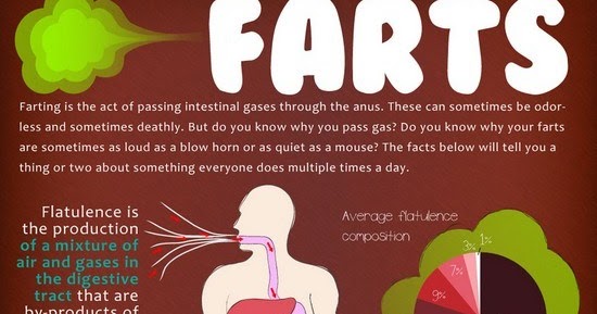 Skip's House of Chaos: Fun Facts About Farts