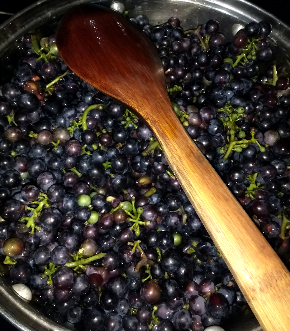 lightly enchanted: Grape Cordial