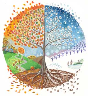 5. Seasons and Health: Ritucharya Simplified - Ayur Info: Learn ...