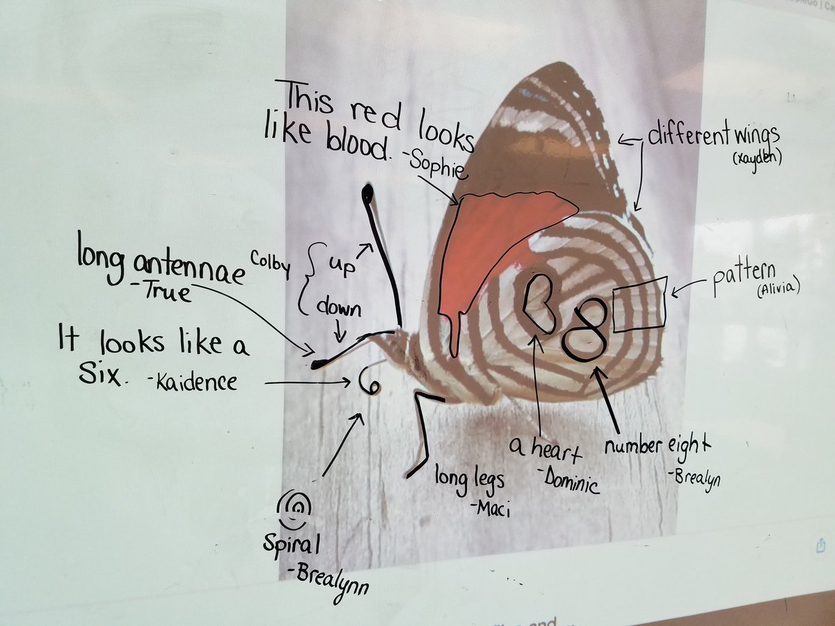 Miss Laidlaw's Classroom: Math Talks with inclusion of Oral Language
