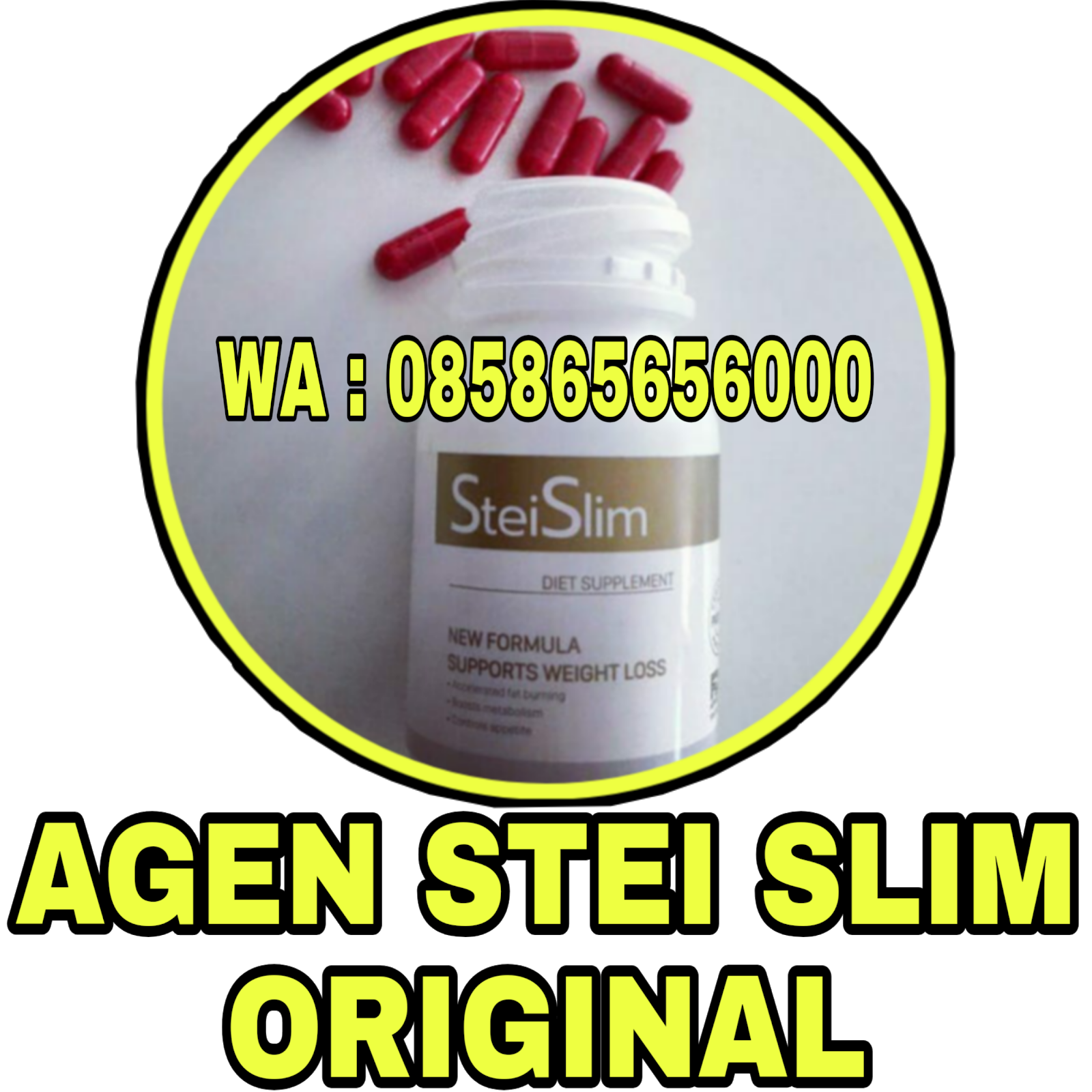 Kegunaan Obat Stei Slim Untuk Badan - Fungsi Stei Slim Original Obat ...