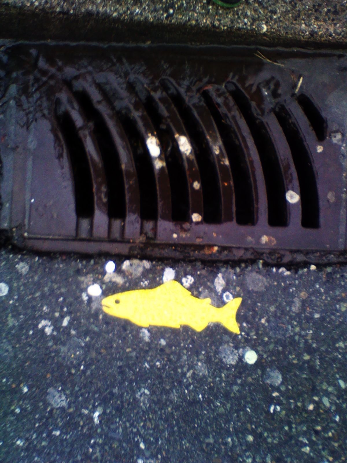 365 Days of Green: Day 45: Follow the Yellow Fish Road