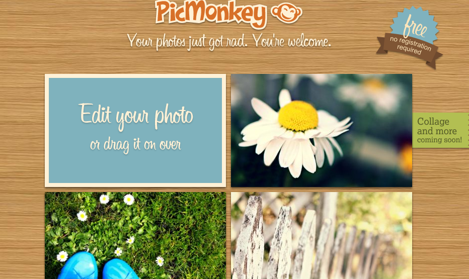 PicMonkey: Another simple application to edit the pictures and images ...