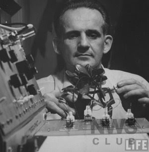 CONOCIMIENTO Y GNOSIS: EL ALMA DE LAS PLANTAS