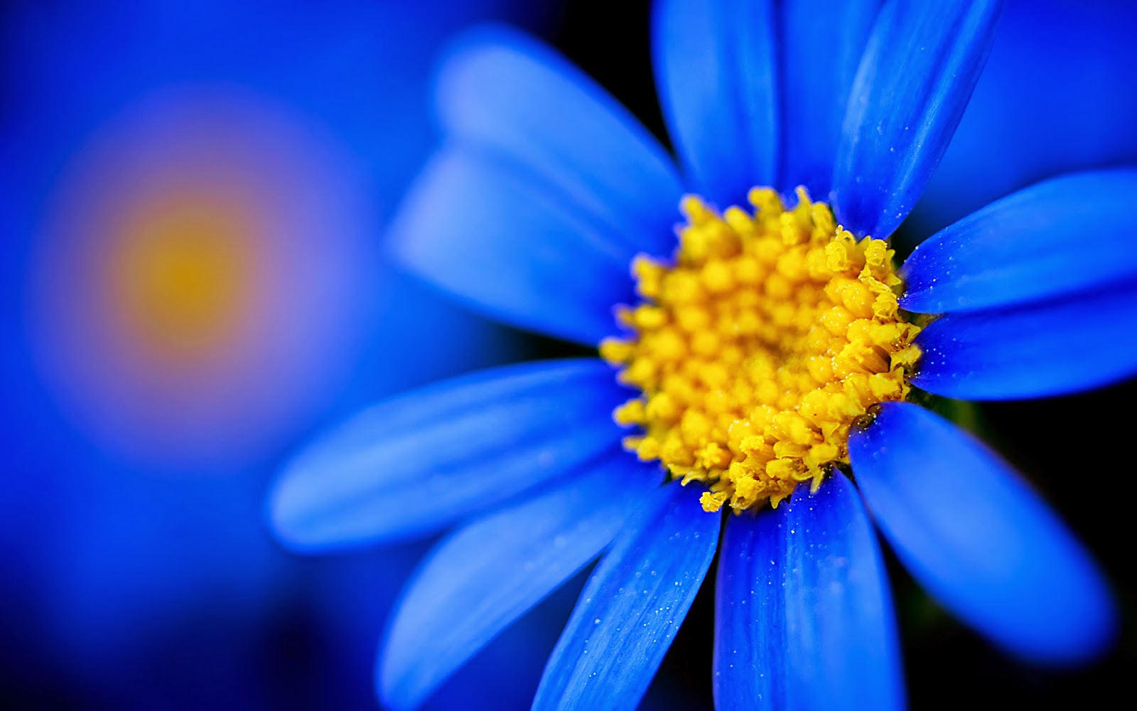 COMPARTIENDO REFLEXIONES: mayo 2014