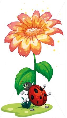 Planse de colorat si fise pentru copii: BUBURUZE - IMAGINI cu Insecte ...