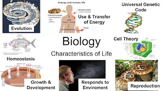 Nevin's Biology Blog: Biology Collage