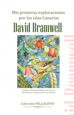 CLUB DE LECTURA AB: MIS PRIMERAS EXPLORACIONES POR LAS ISLAS CANARIAS ...