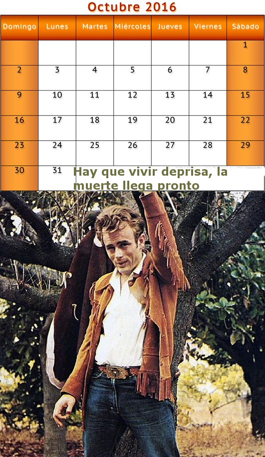 JAMES DEAN: CALENDARIO JAMES DEAN 2016 MES X MES Y GLOBAL CALENDAR