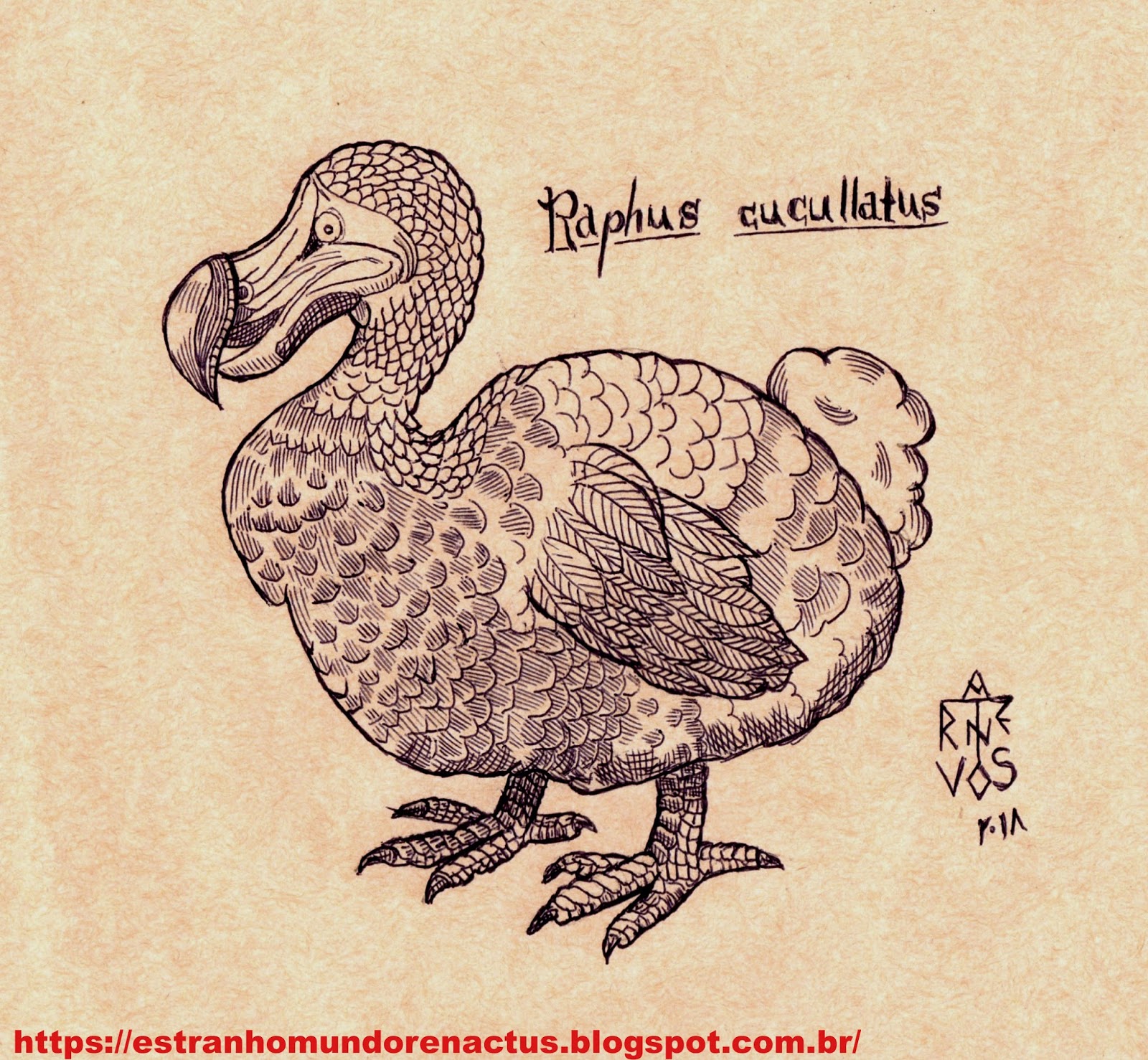 Estranho Mundo de Renactus Zoo: Ave extinta Dodô