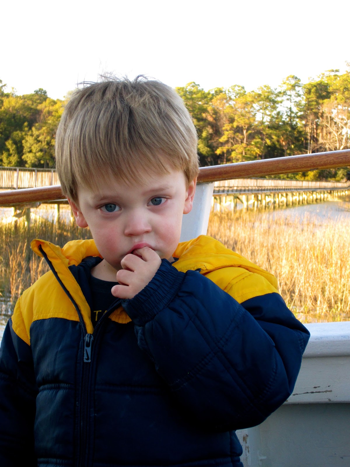 An Appalachian Emigrant