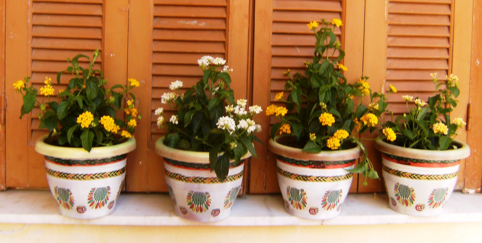 lila365idees: ΓΛΑΣΤΡΕΣ ΣΕ ΜΕΞΙΚΑΝΙΚΟ ΣΤΥΛ (POTS IN MEXICAN STYLE)