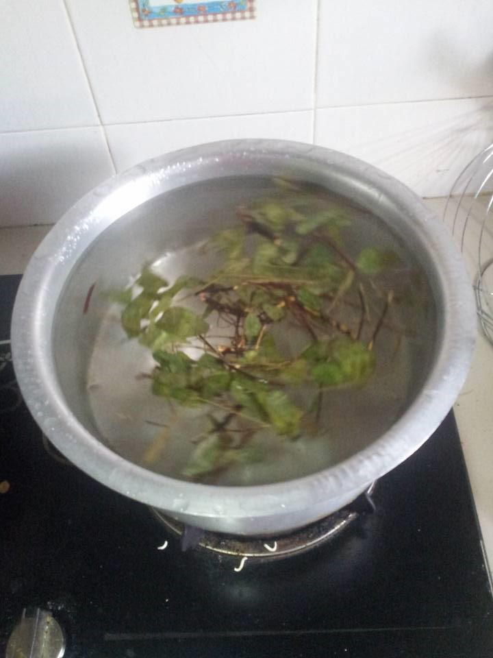 Herba Adalah Penawar Pelbagai Penyakit. : DAUN RERAMA HIJAU ASLI ...