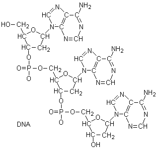 Inlägg i debatten: Nukleinsyra