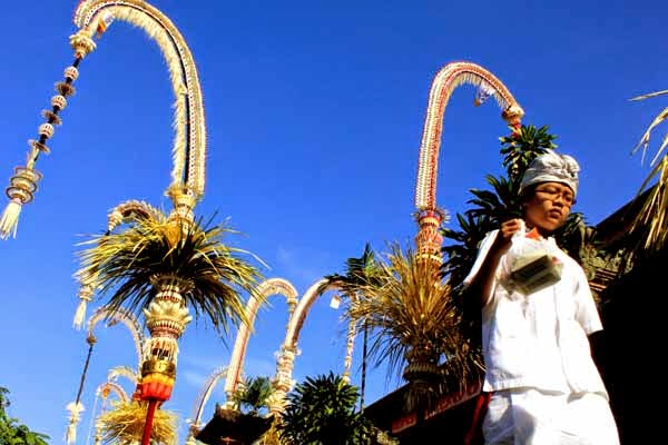 Bali Free Information: Penjor Bali Amazing Culture