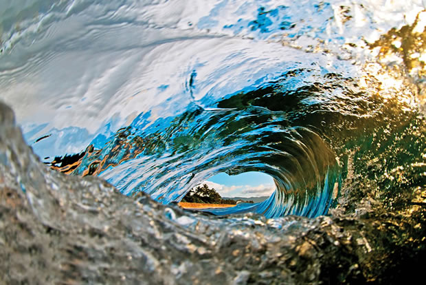 The Flying Tortoise: Hawaii Based Clark Little Photographs Very Big ...