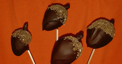 Agarimos | Cakes and Cookies: ACORN CAKE POPS. CAKE POPS BELLOTA