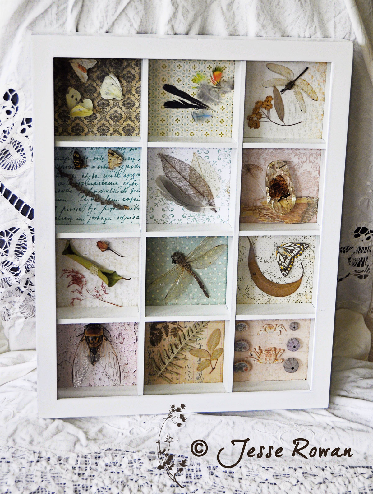 Lace Age Girl: Nature Shadow Box
