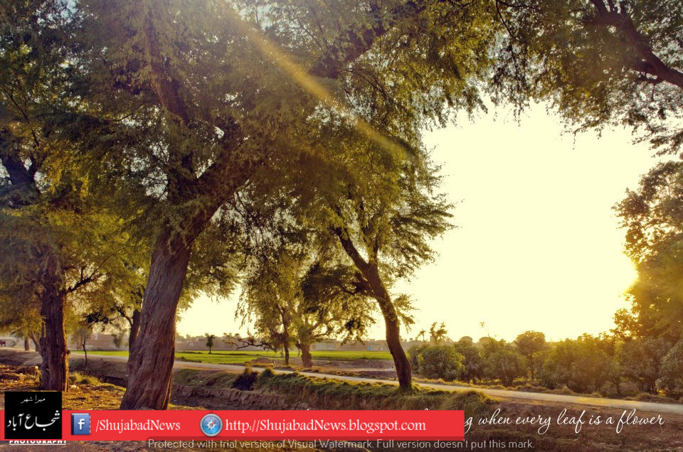 شجاع آباد کی خوبصورت فوٹوگرافی - Shujabad News - A News portal for ...
