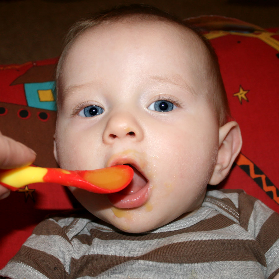 Spoonie Luv: The Baby Food Diaries: Squash Panache *stage 1*