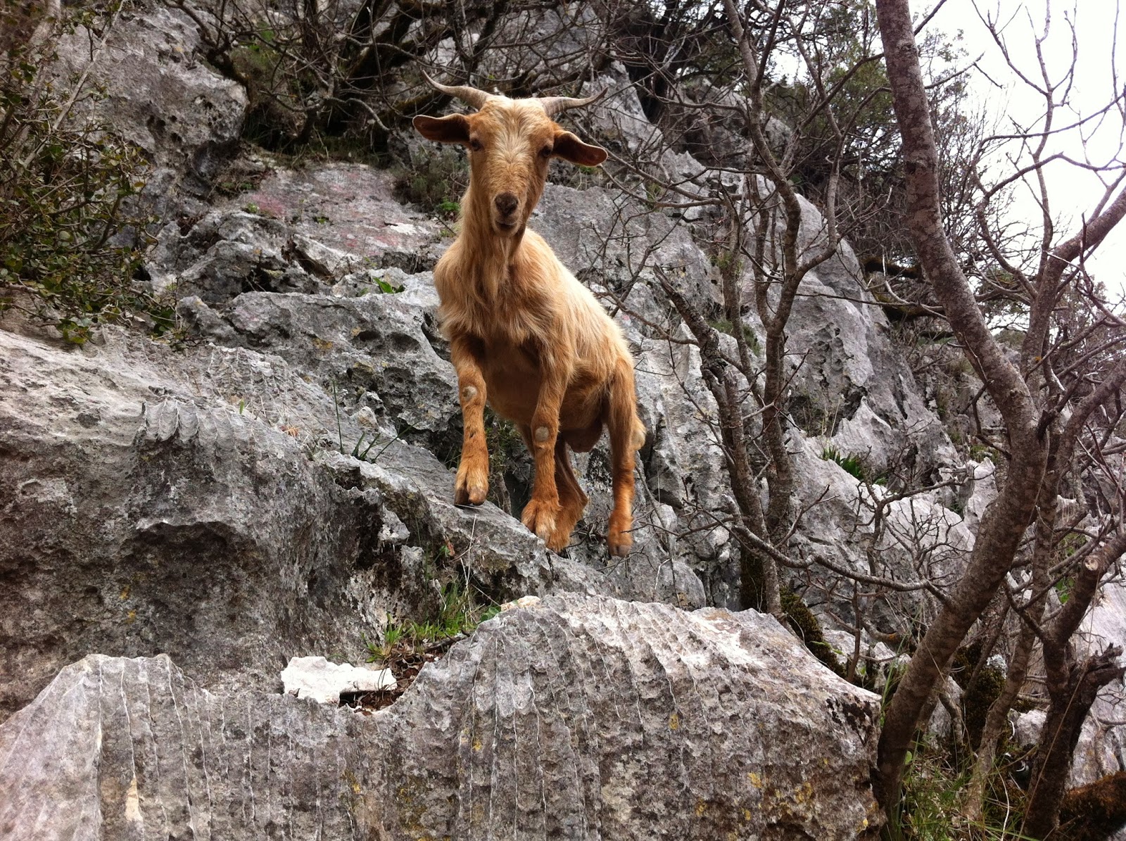 Hotel El Curro, Sierra de Cazorla: Popurrí de fotos de comienzos de la ...