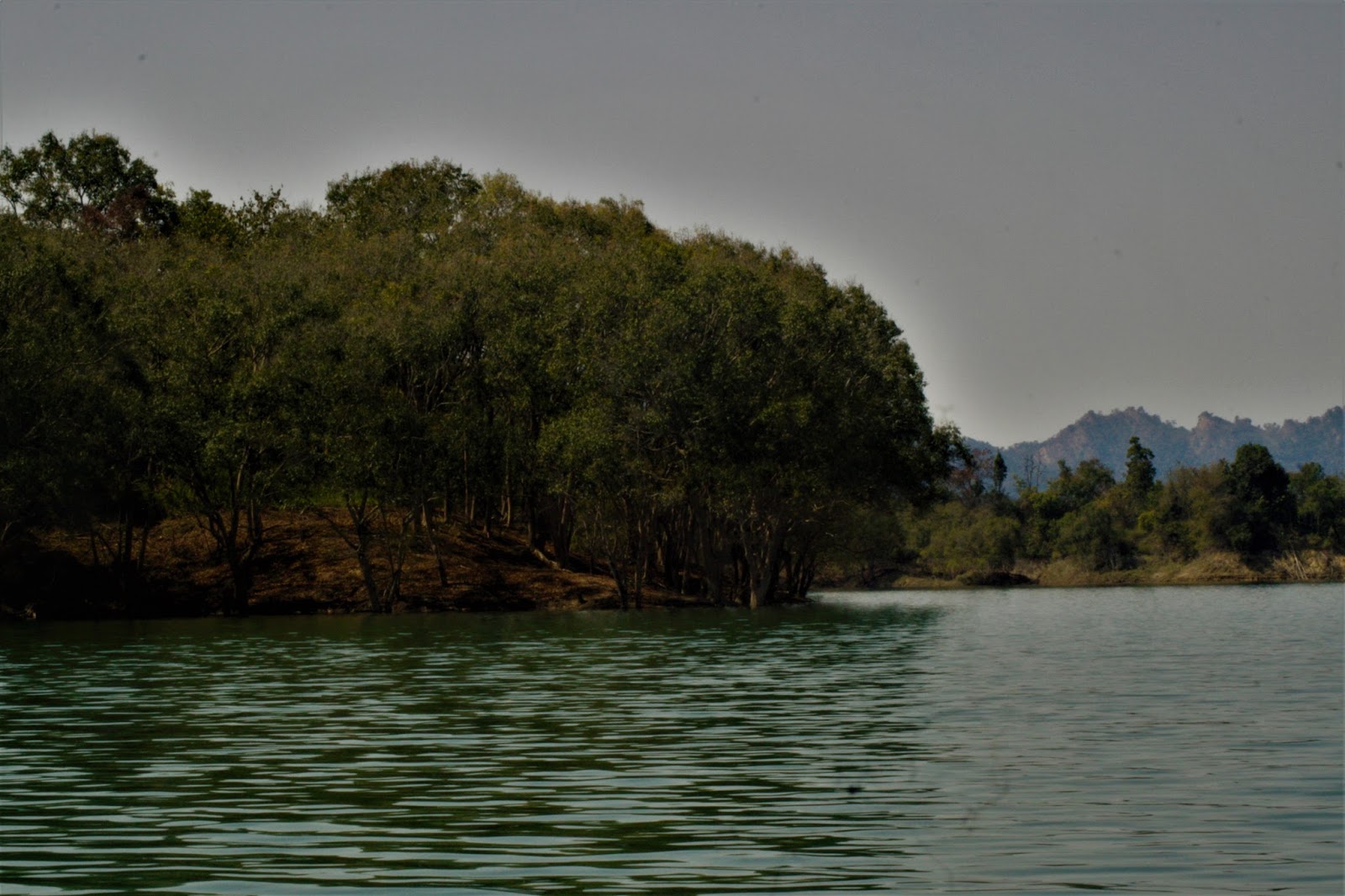 THE WILDLIFE CHRONICLES: World Croc Day 2017