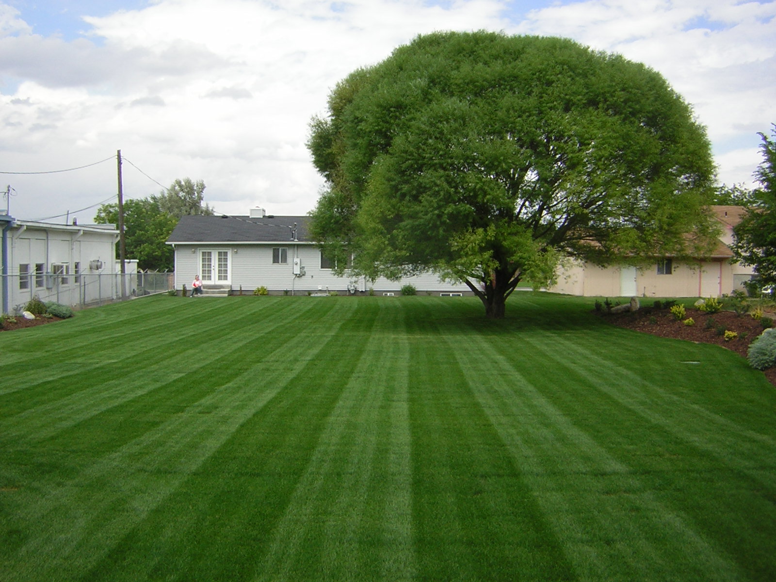 Open Field - The Beautiful things in Life