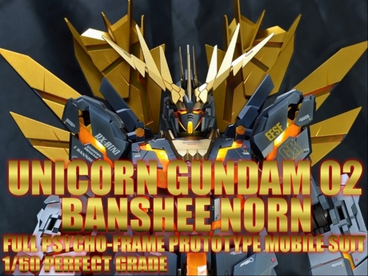 Painted Build: PG 1/60 Banshee Norn + LED